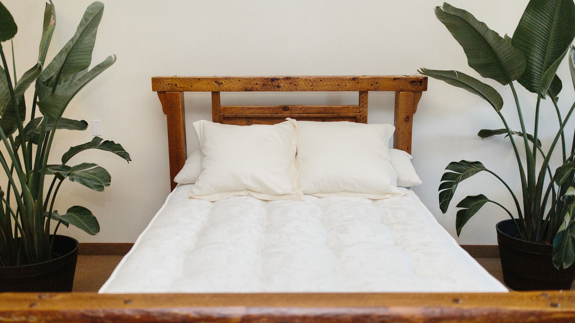 Moon Beam – Luxury Mattress | Harbor Springs Mattress Co.